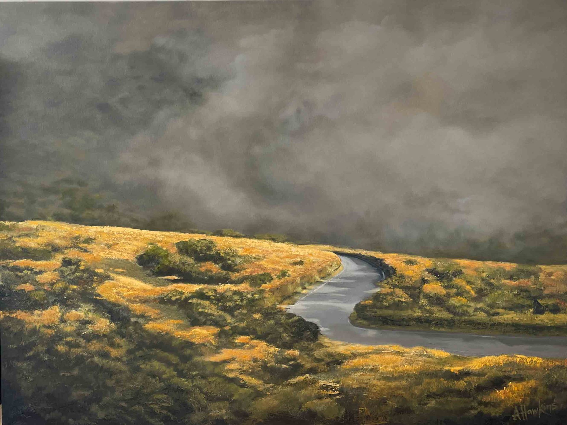 Portfolio - Annie Hawkins Art