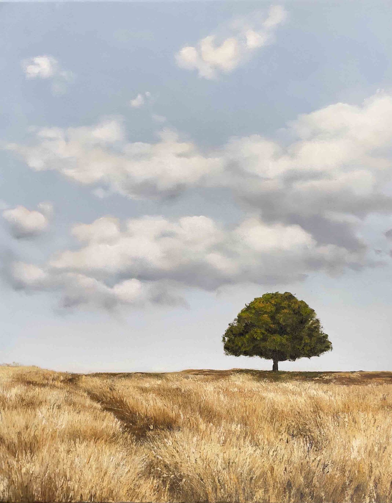 Portfolio - Annie Hawkins Art